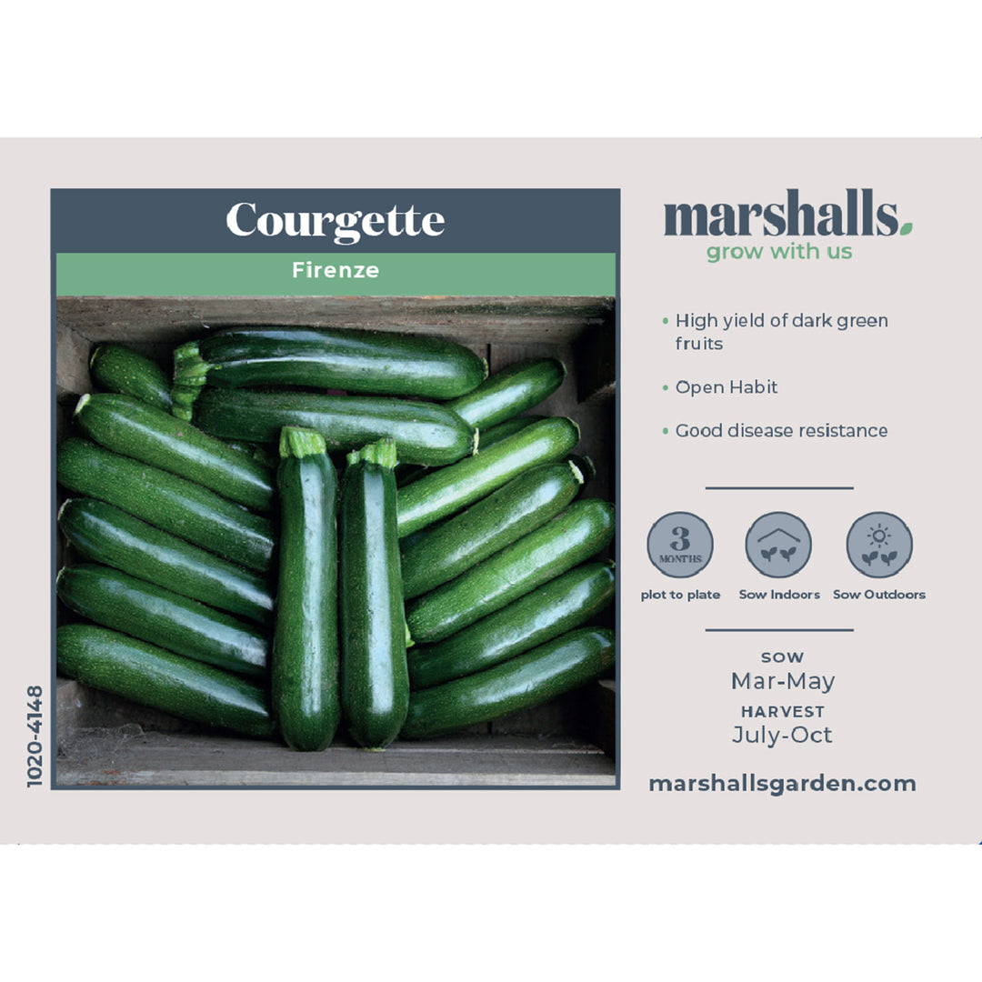 Buy Courgette Firenze Seeds Online | Marshalls – Marshalls Garden