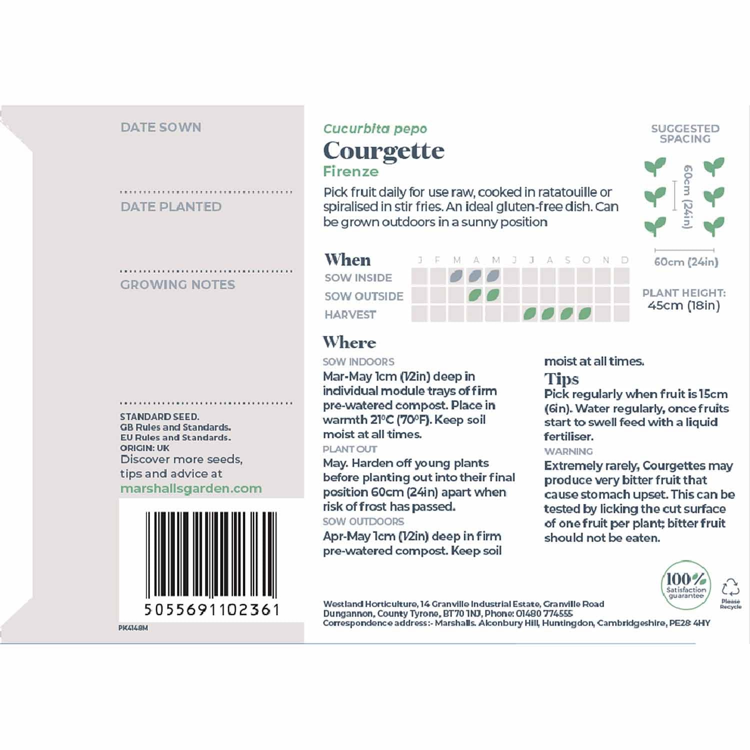 Courgette Seeds 'Firenze' | Buy Courgette Seeds Online | Courgette ...