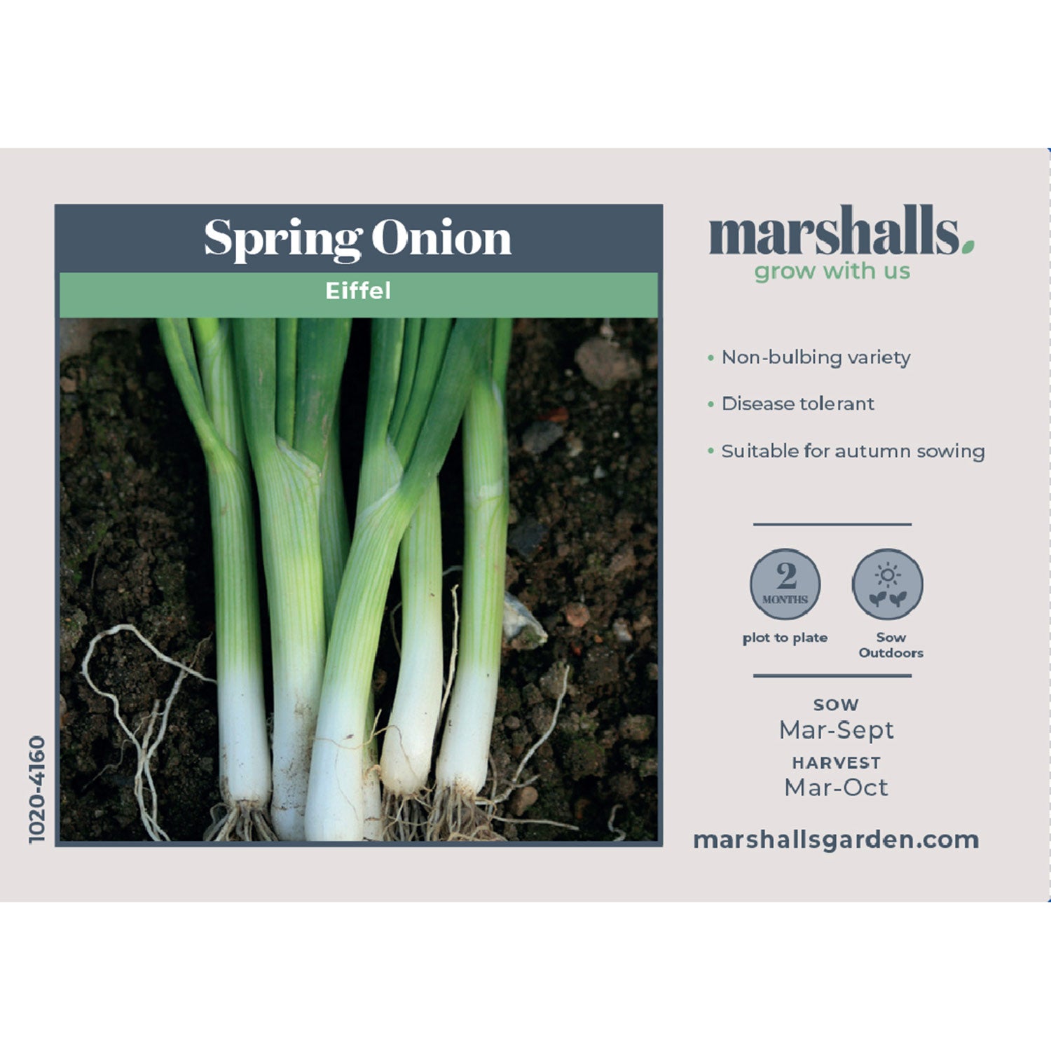 Spring Onion Seeds 'Eiffel' | Buy Spring Onion Seeds Online | Spring ...
