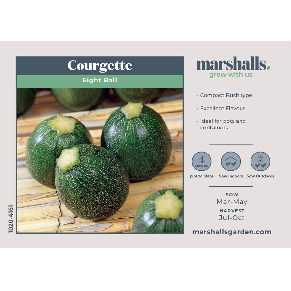 Courgette Seeds 'Eight Ball' | Buy Courgette Seeds Online | Courgette ...