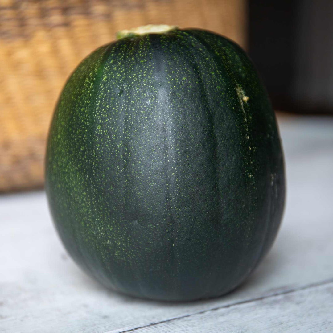 Courgette Seeds 'Eight Ball' | Buy Courgette Seeds Online | Courgette ...