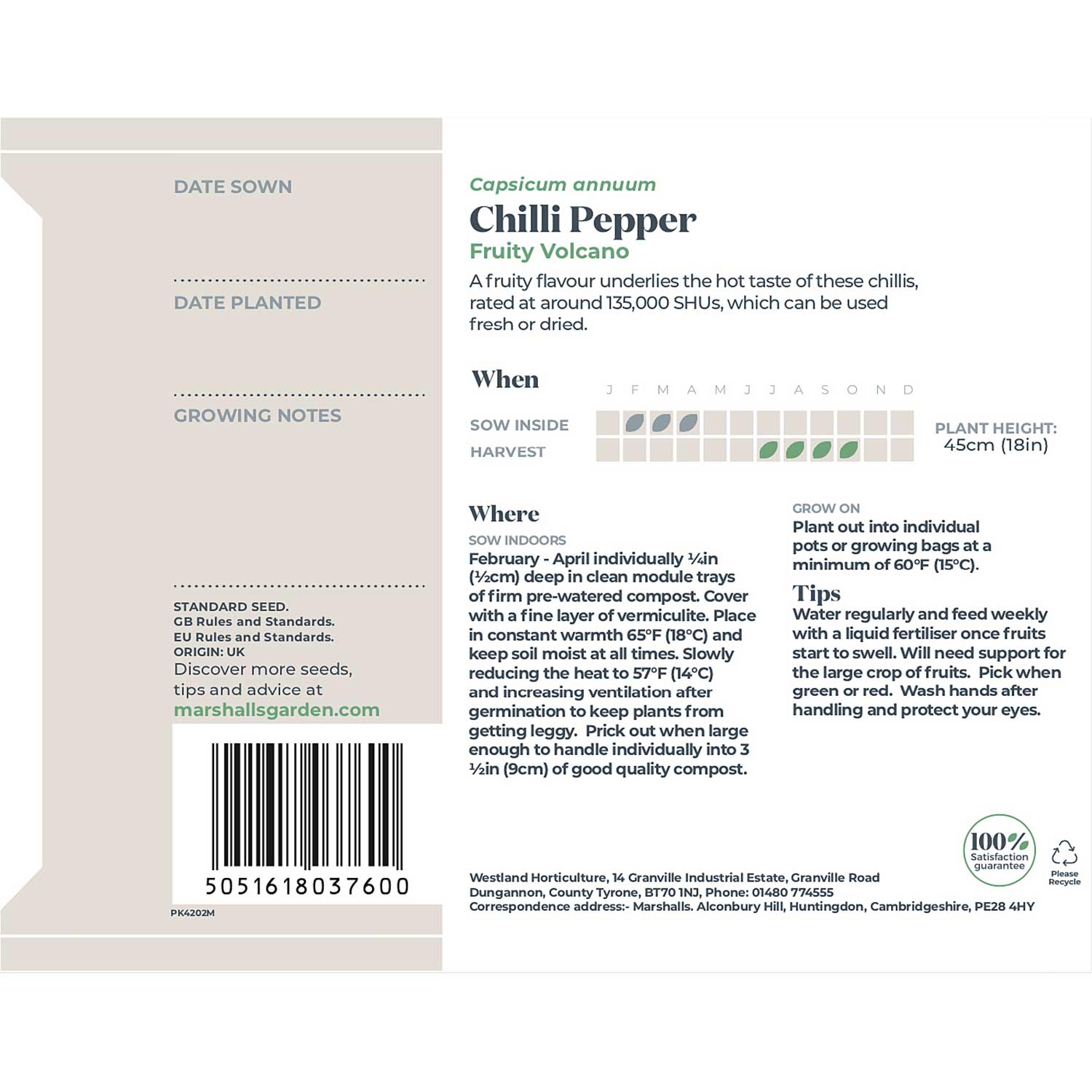 Chilli Pepper Seeds 'Fruity Volcano' | Buy Chilli Pepper Seeds Online ...