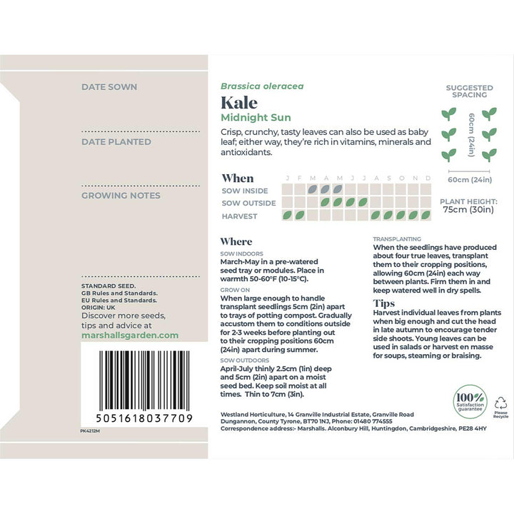 Kale Seeds 'Midnight Sun' | Buy Kale Seeds Online | Kale Seeds for Sale ...