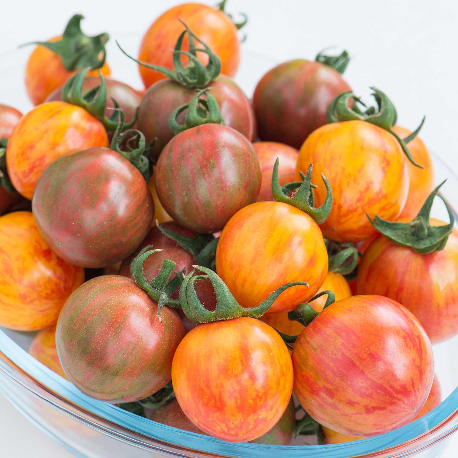 Tomato Seeds 'Bumble Bee Mix ' | Marshalls Garden