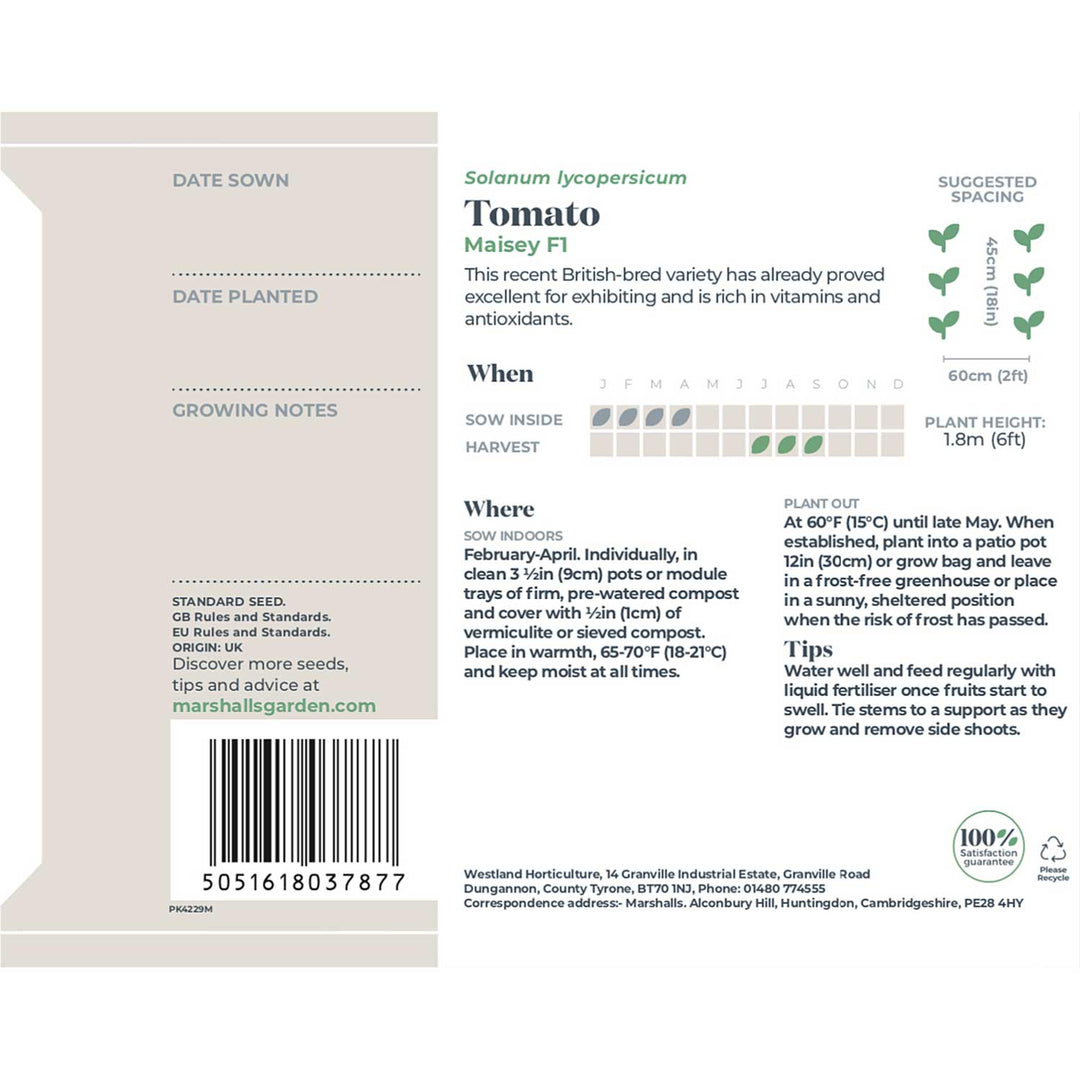 Cordon Tomato Seeds 'Maisey' F1 | Buy Cordon Tomato Seeds Online ...