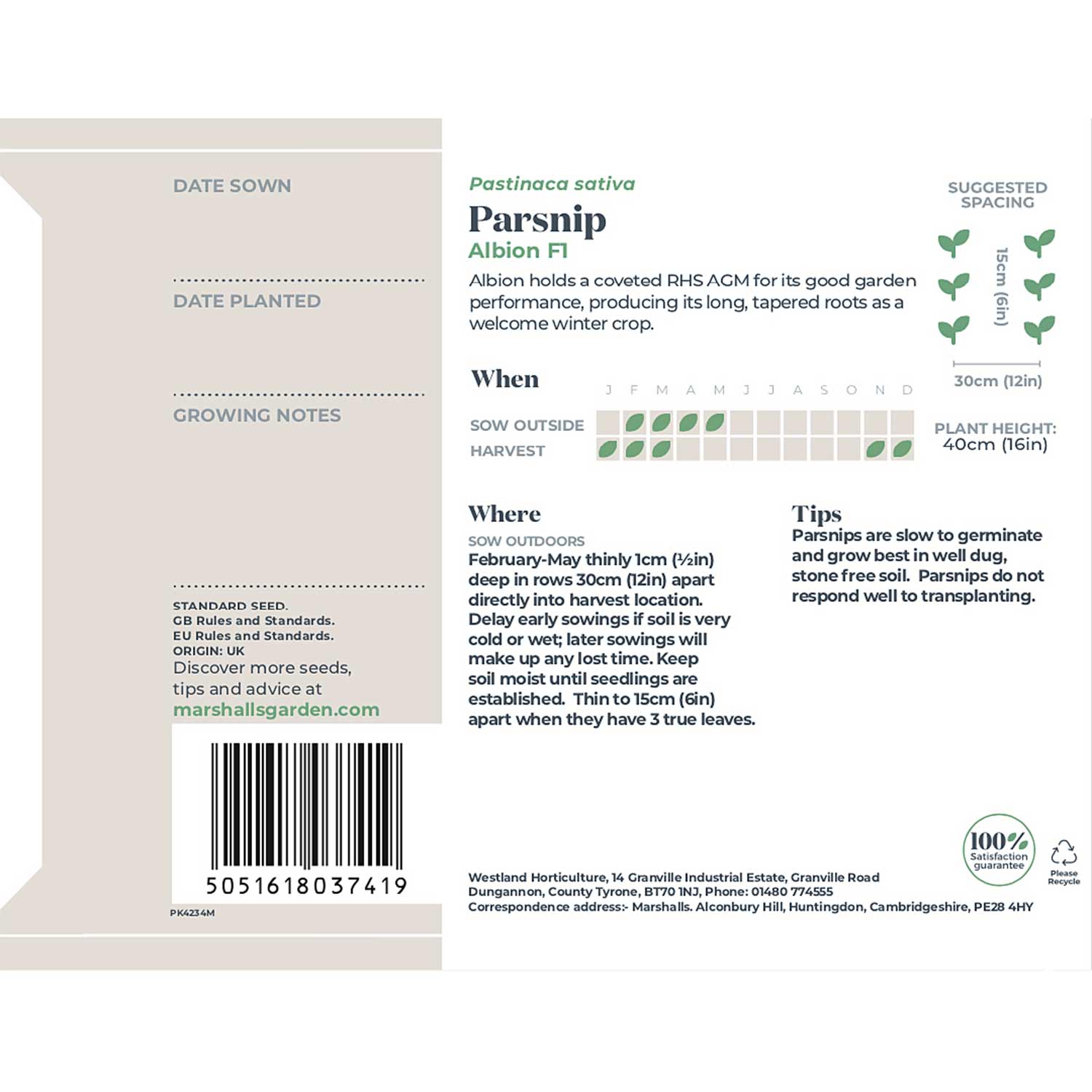 Parsnip Seeds 'Albion' F1 | Buy Parsnip Seeds Online | Parsnip Seeds ...