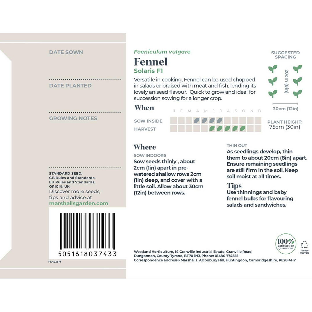 Fennel Seeds 'Solaris' F1 | Buy Fennel Seeds Online | Fennel Seeds for ...