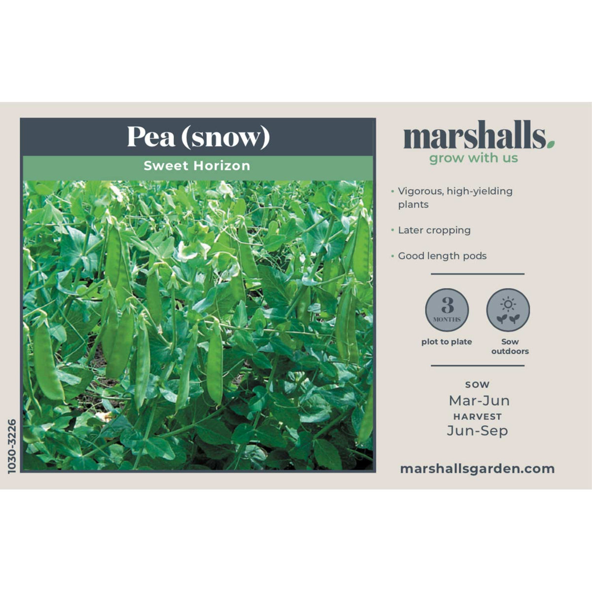Snow Pea Seeds 'Sweet Horizon' | Buy Snow Pea Seeds Online | Snow Pea ...