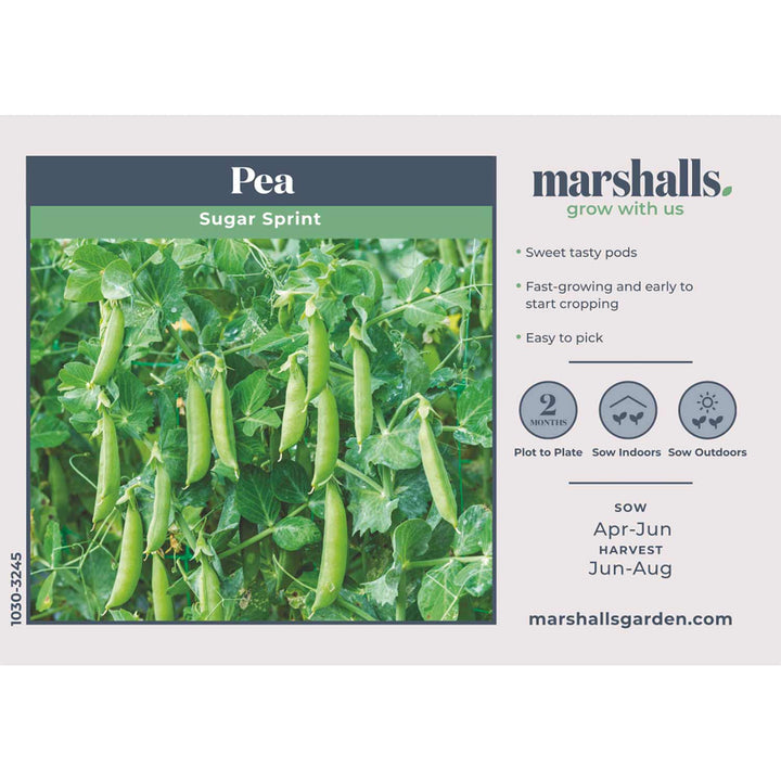 Buy Pea Sugar Sprint Online | Marshalls – Marshalls Garden