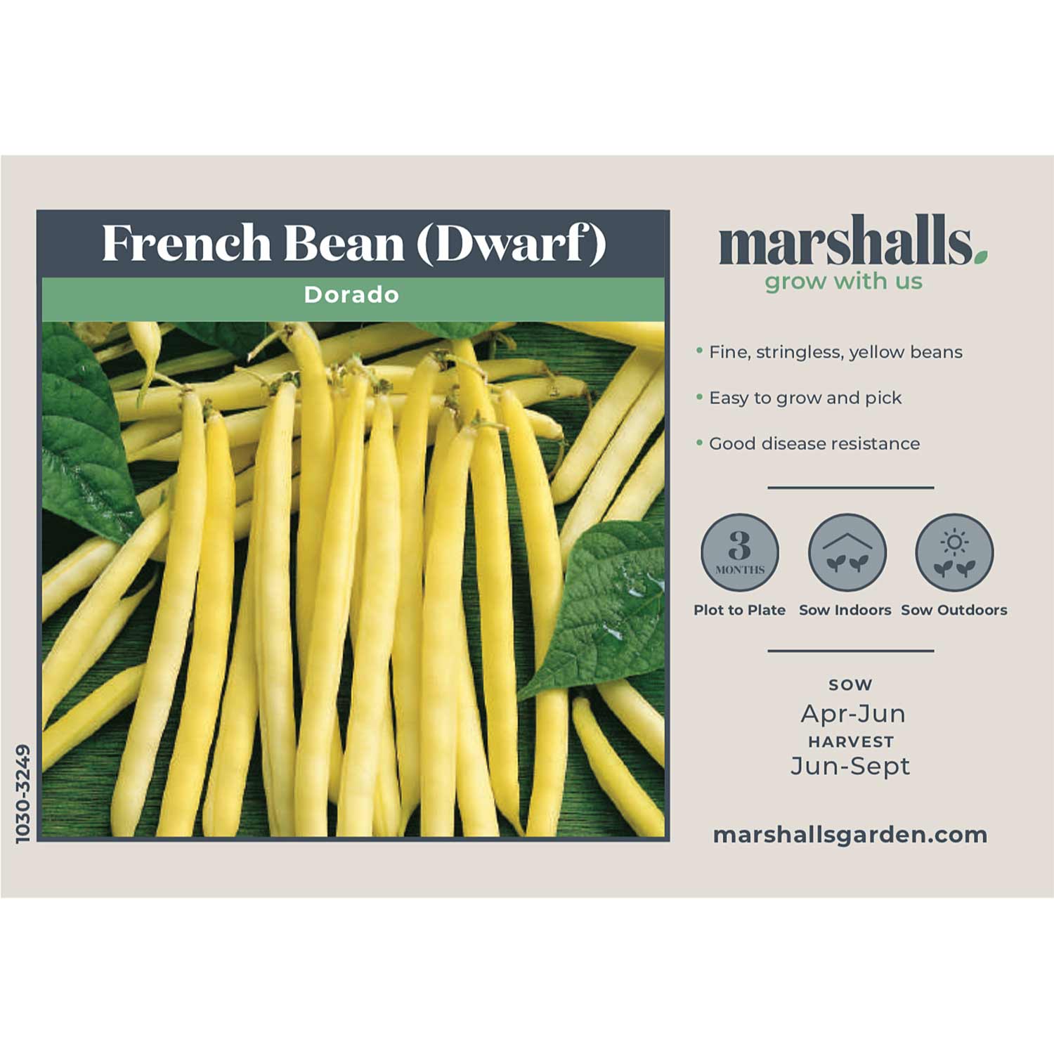 Dwarf French Bean 'Dorado' - Seeds – Marshalls Garden