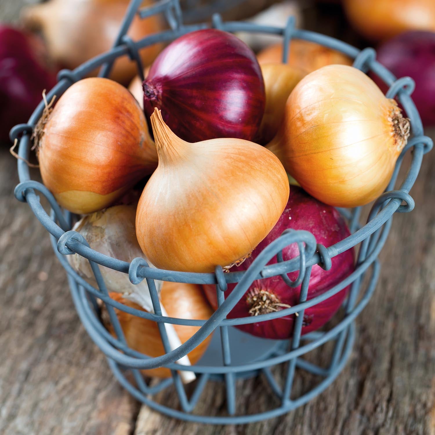 Spring Planting Onions Duo Pack | Marshalls Garden