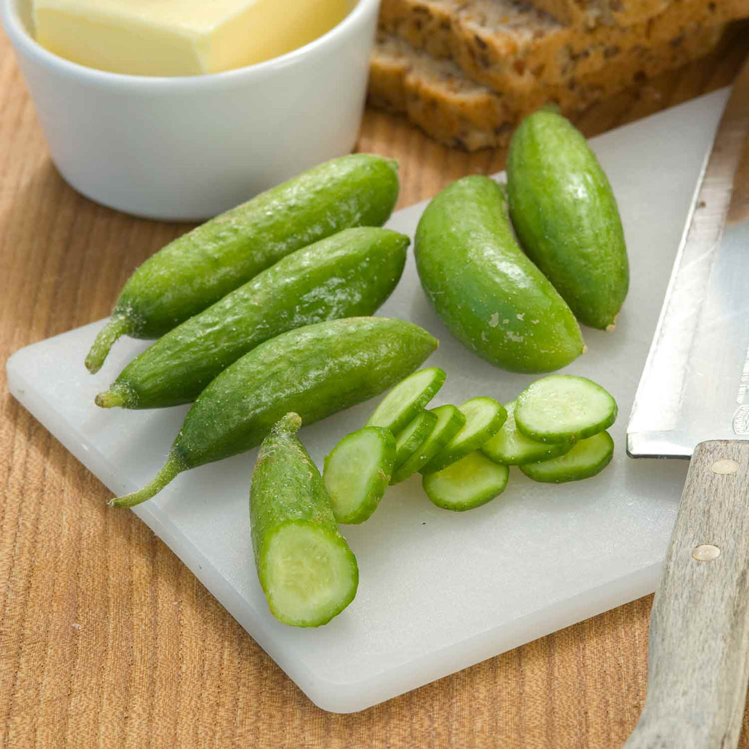 Cucumber 'Green Fingers' F1 (OD) - 3 Super Plugs | Buy Cucumber Plants ...