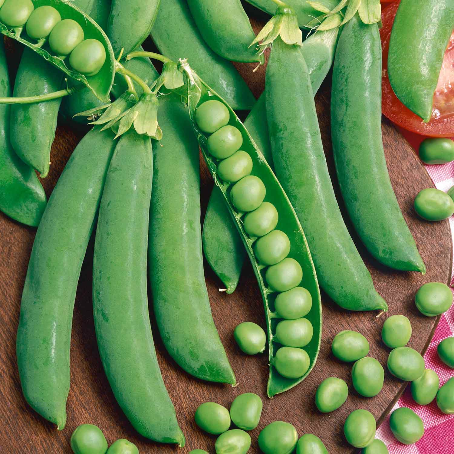 Pea Season Long Collection - 36 Garden Ready Plugs (120 Plants) | Buy ...