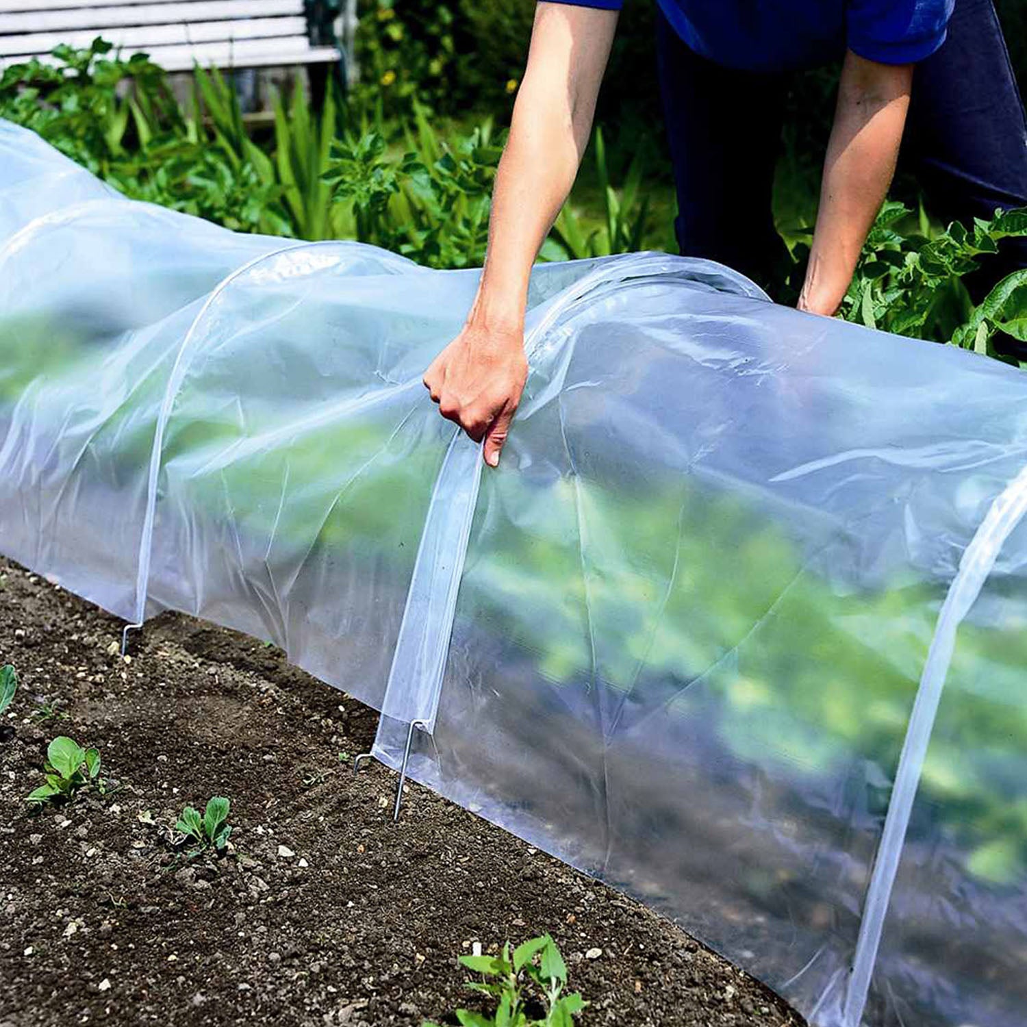 Haxnicks Easy Poly Tunnel - Standard | Buy Poly Tunnel Online | Poly ...