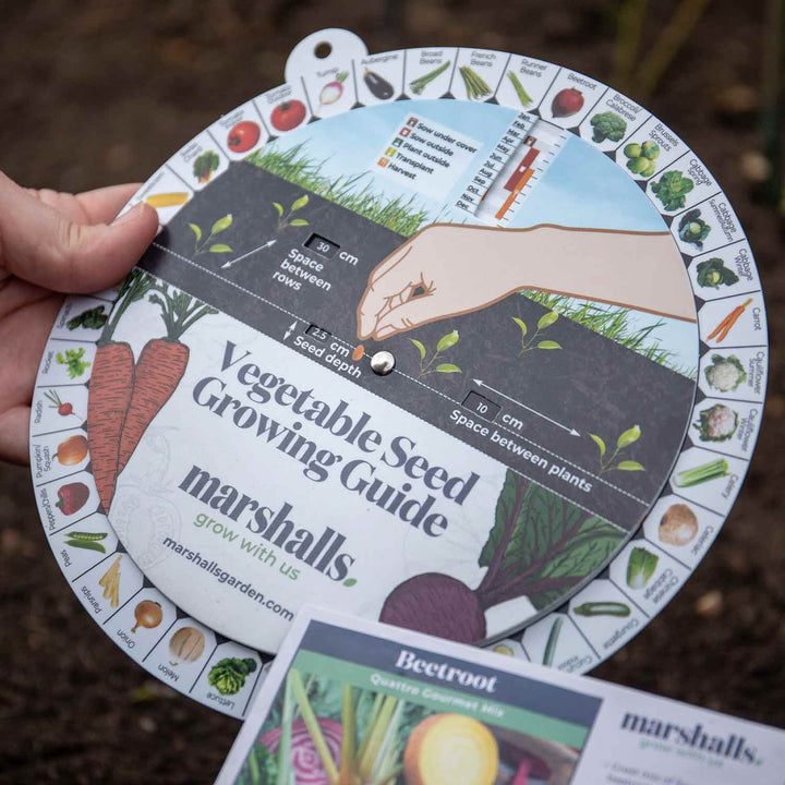 Vegetable Seed Guide Wheel | Buy Vegetable Seed Wheel Online ...