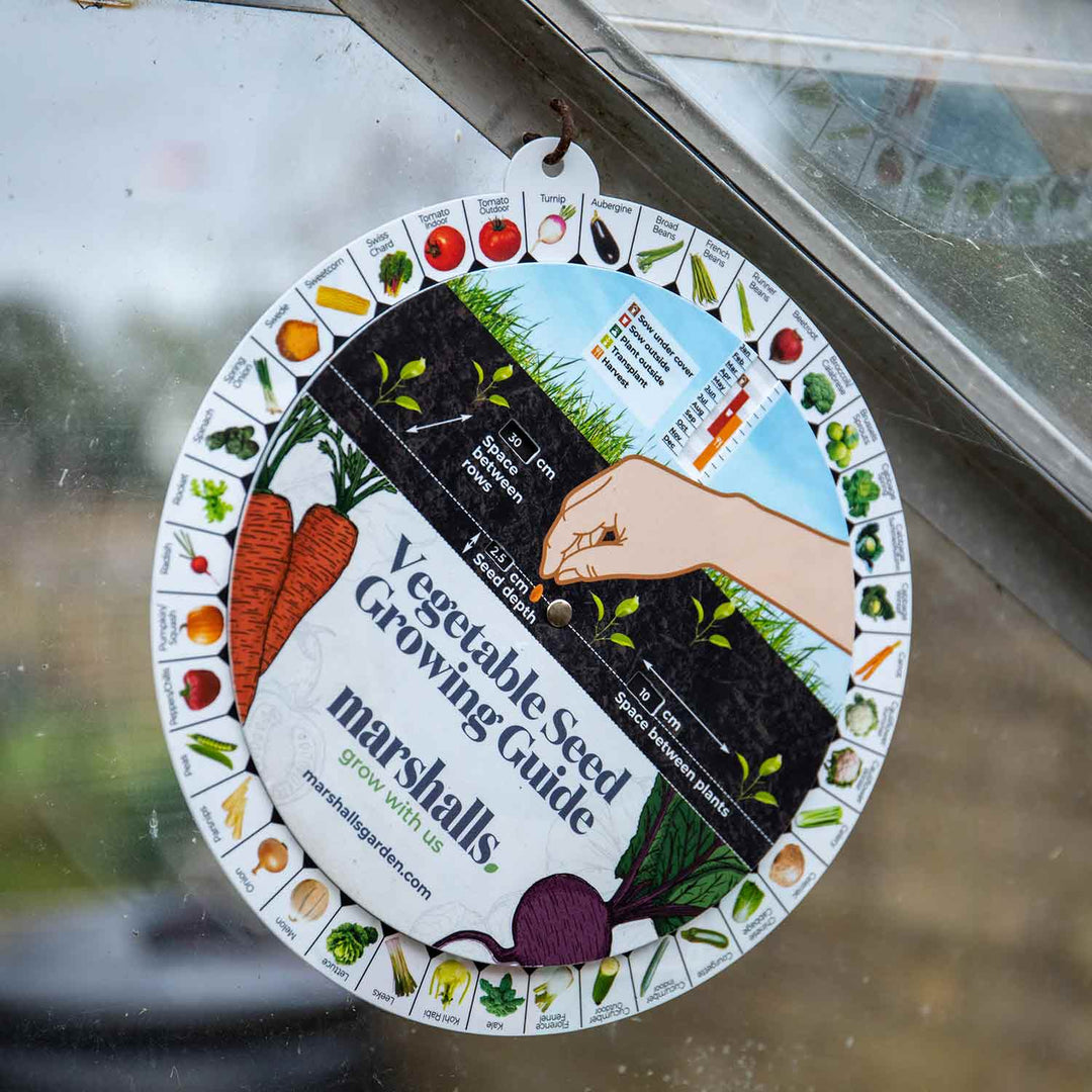 Vegetable Seed Guide Wheel | Buy Vegetable Seed Wheel Online ...