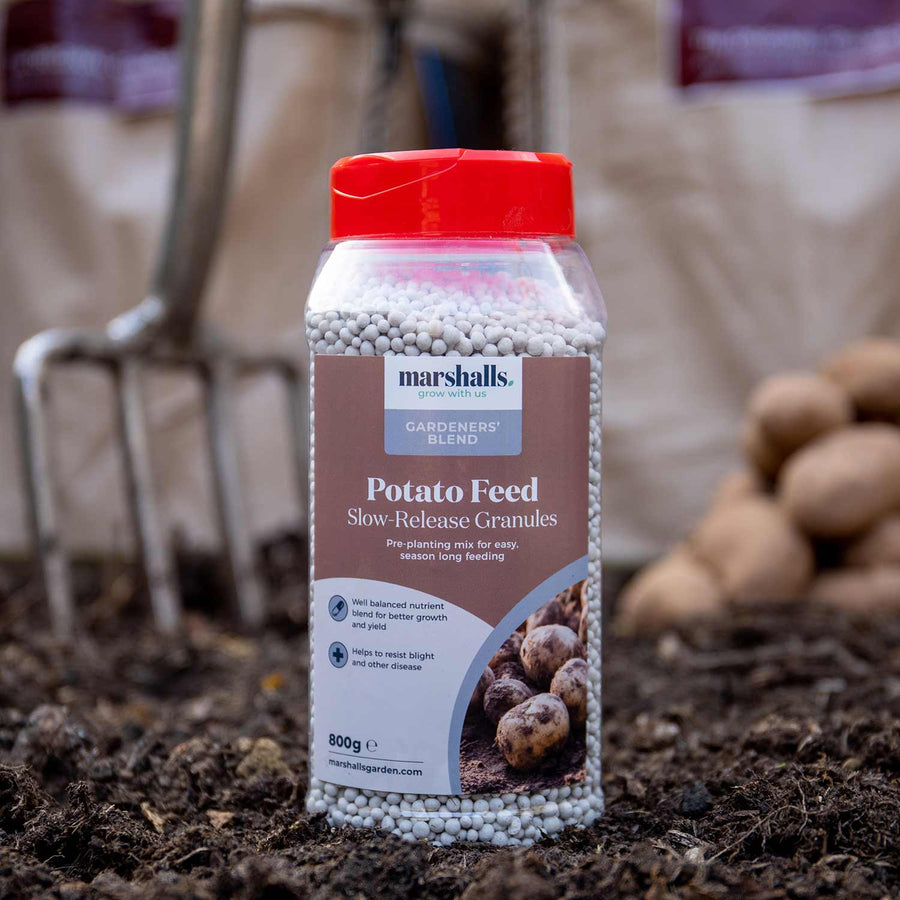 Concentrated Potato Feed | Buy Potato Feed Online | Potato Feed for ...