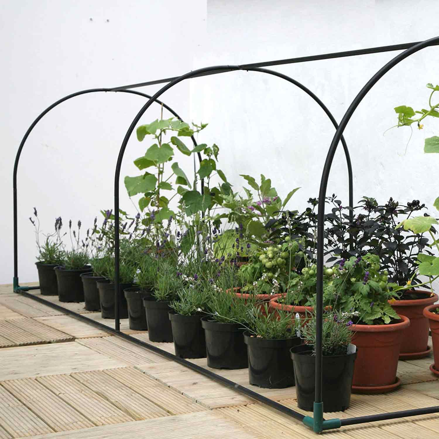 Grower Frame | Marshalls Garden
