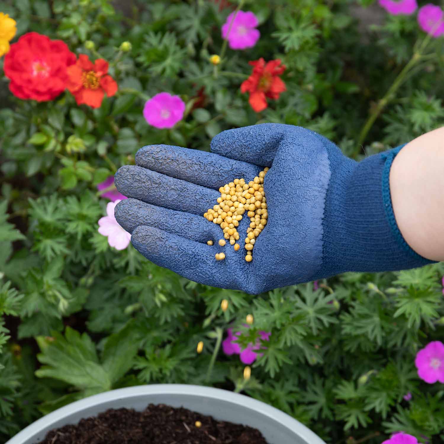 Marshalls Granular Flower Feed - 850g | Buy Flower Feed Online | Flower ...