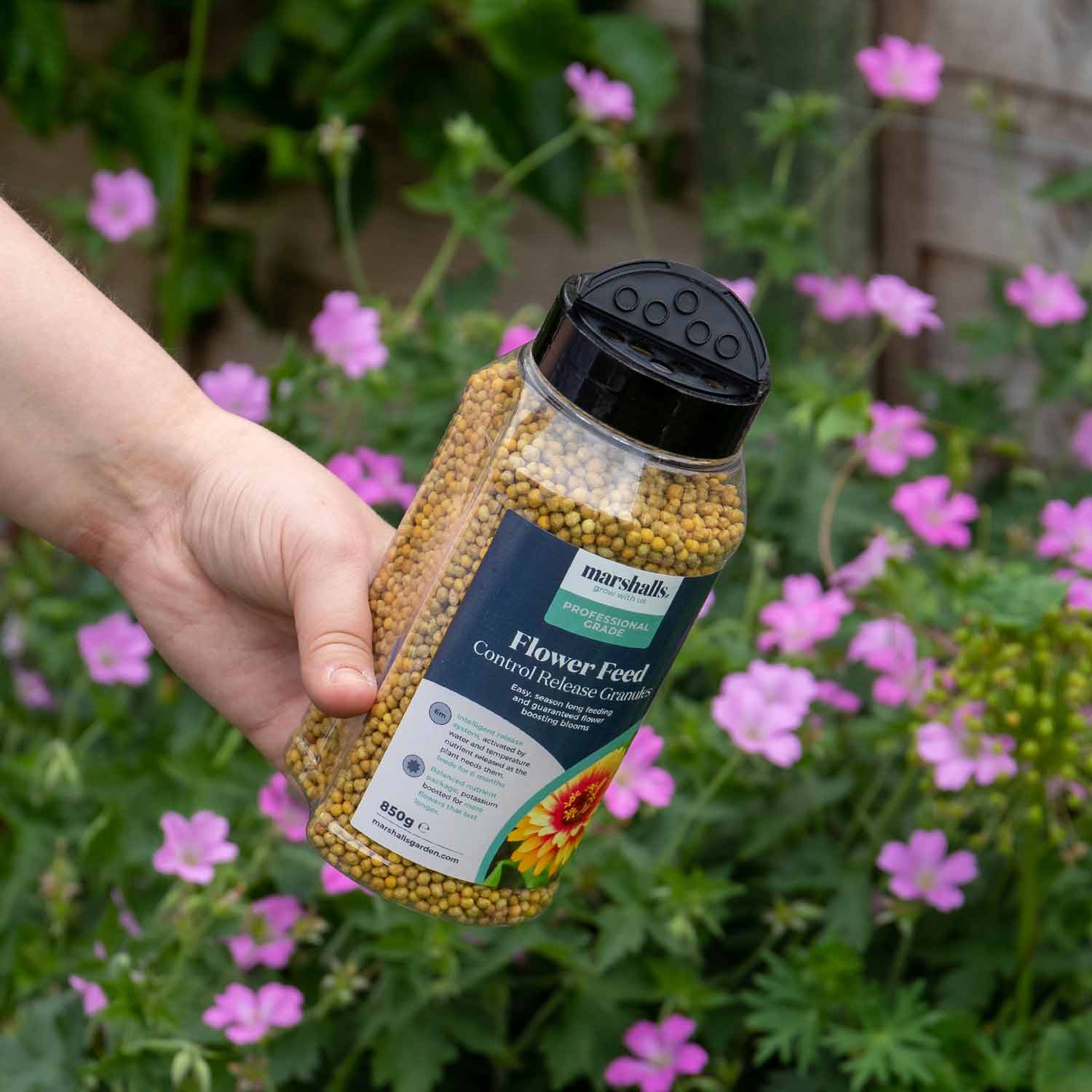 Marshalls Granular Flower Feed - 850g | Buy Flower Feed Online | Flower ...