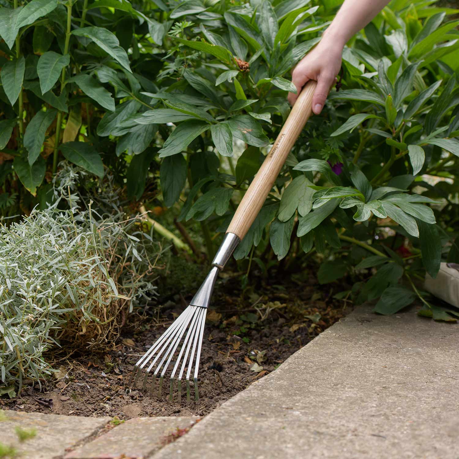 Kent & Stowe Stainless Steel Border Hand Shrub Rake | Marshalls Garden