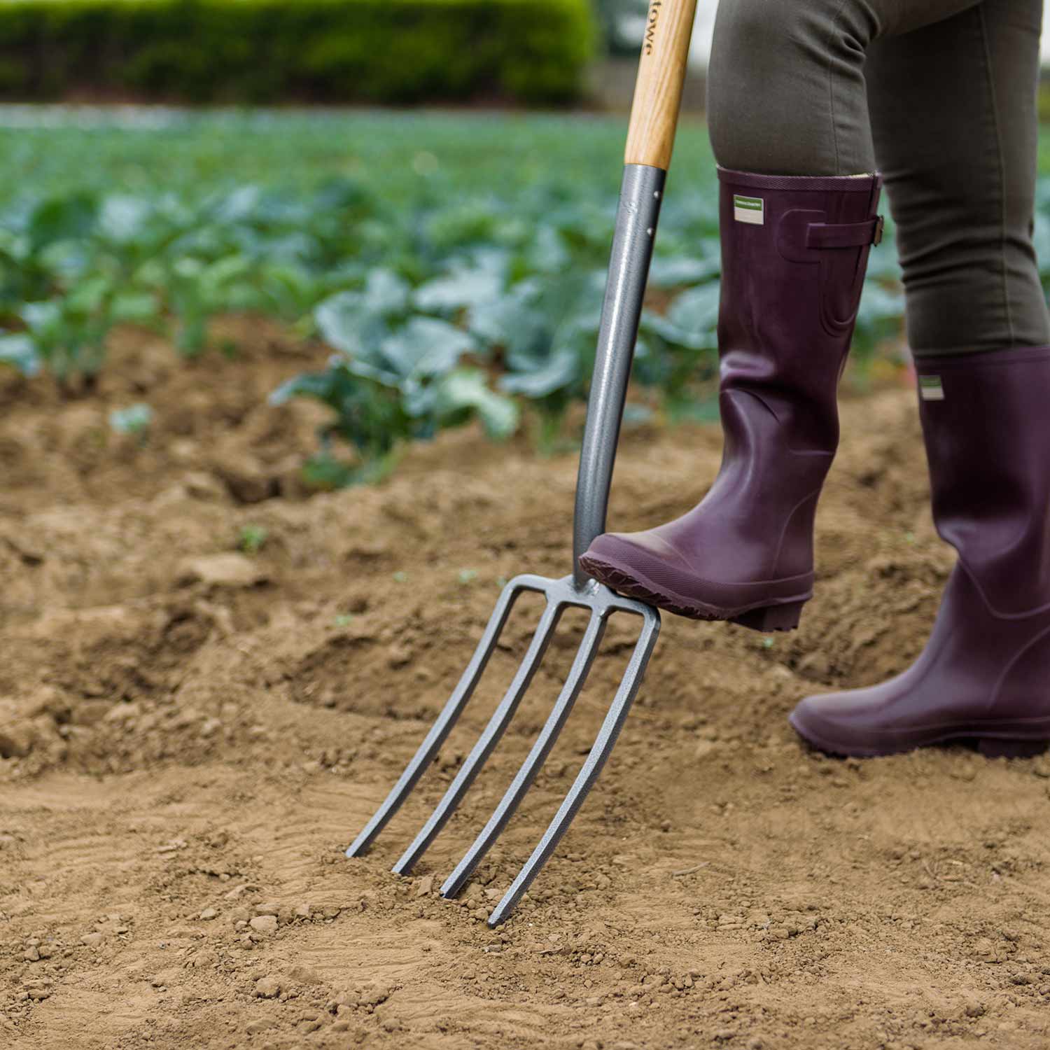 Kent & Stowe Carbon Steel Digging Fork | Marshalls Garden