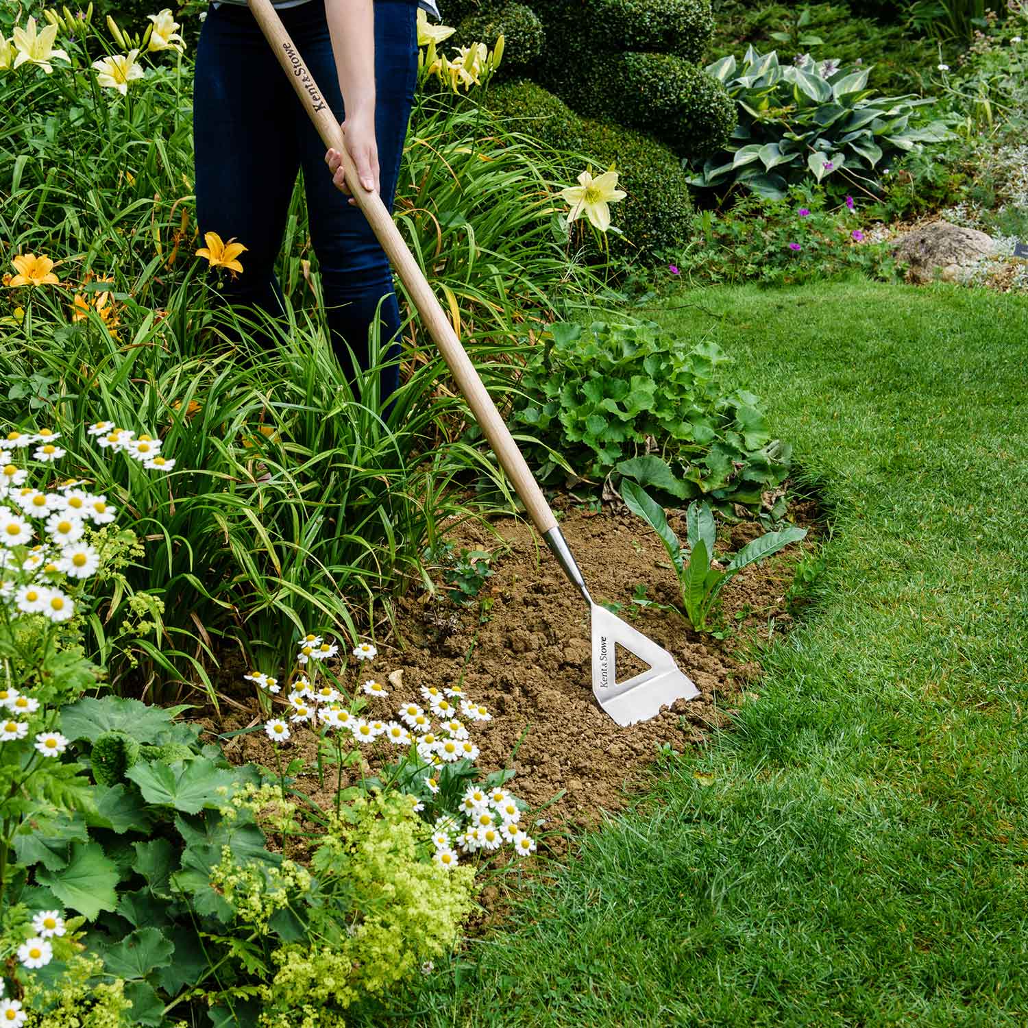 Kent & Stowe Stainless Steel Dutch Hoe | Marshalls Garden