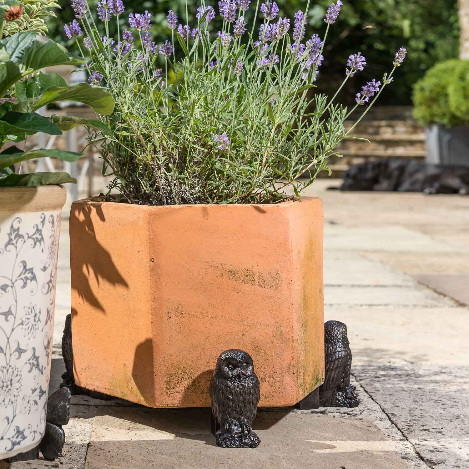 Owl Decorative Potty Feet - 3 Pack | Marshalls Garden