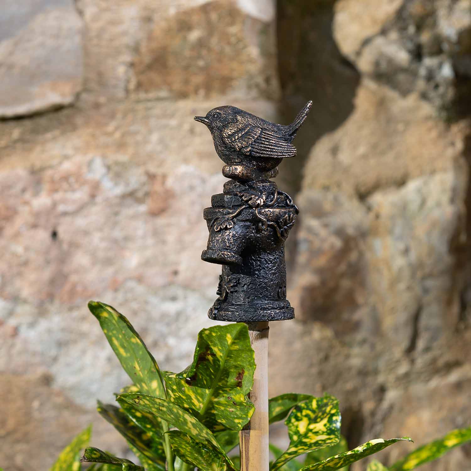 Wren On Tap Cane Companion | Marshalls Garden