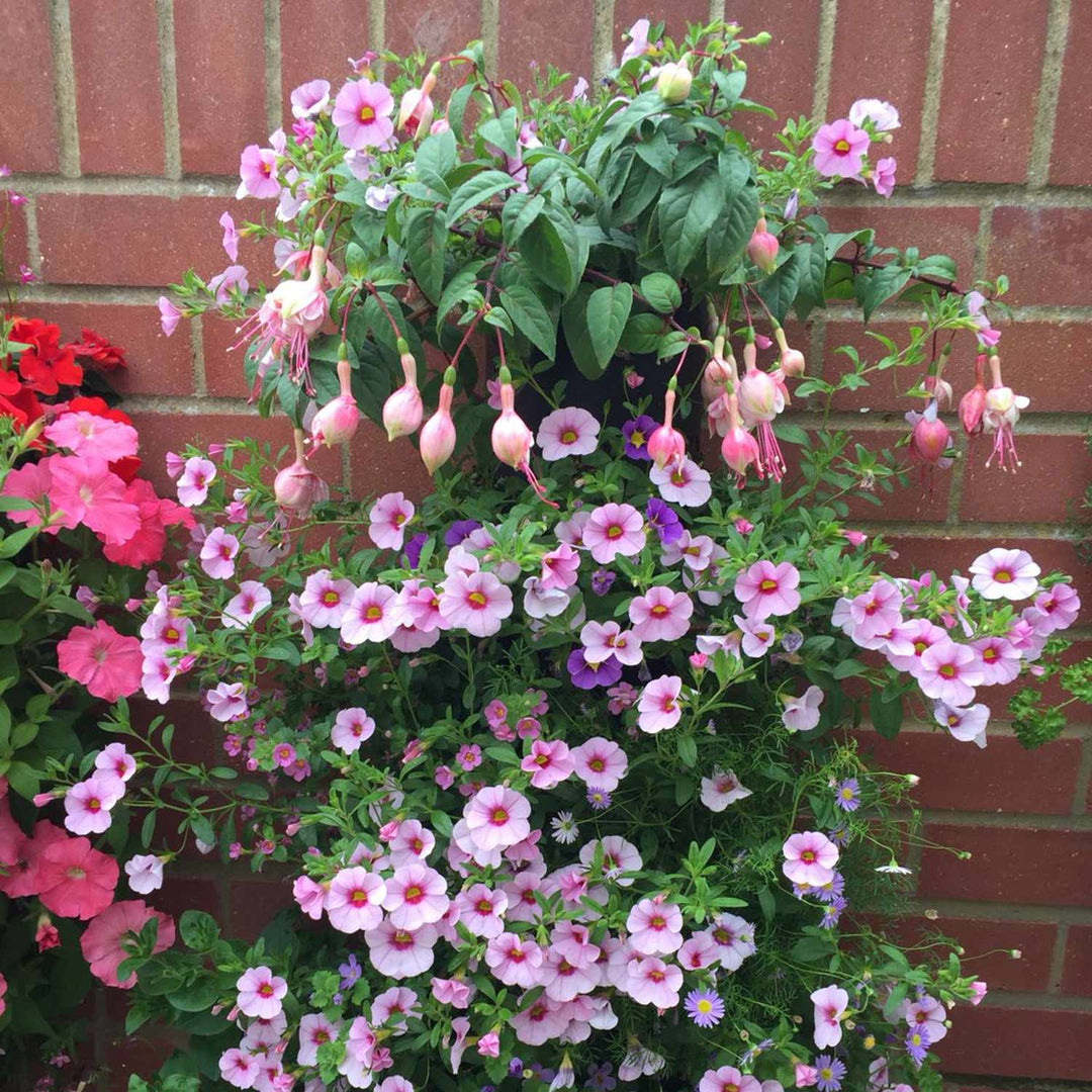 Wall Mounted Flower Tower | Buy Flower Tower Online | Flower Tower for ...