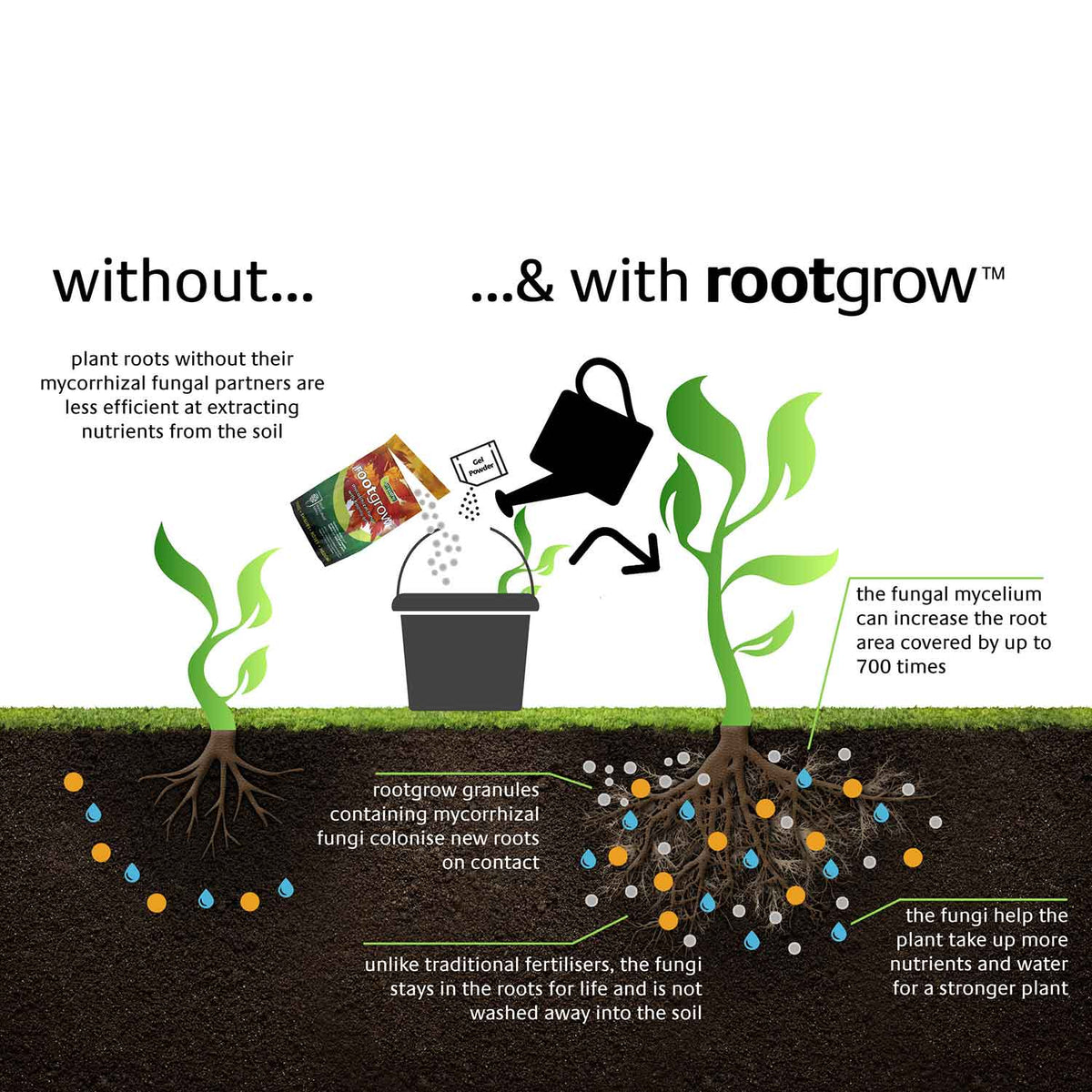 Empathy Rootgrow with Gel Sachet 360g | Buy Plant Feed Online ...