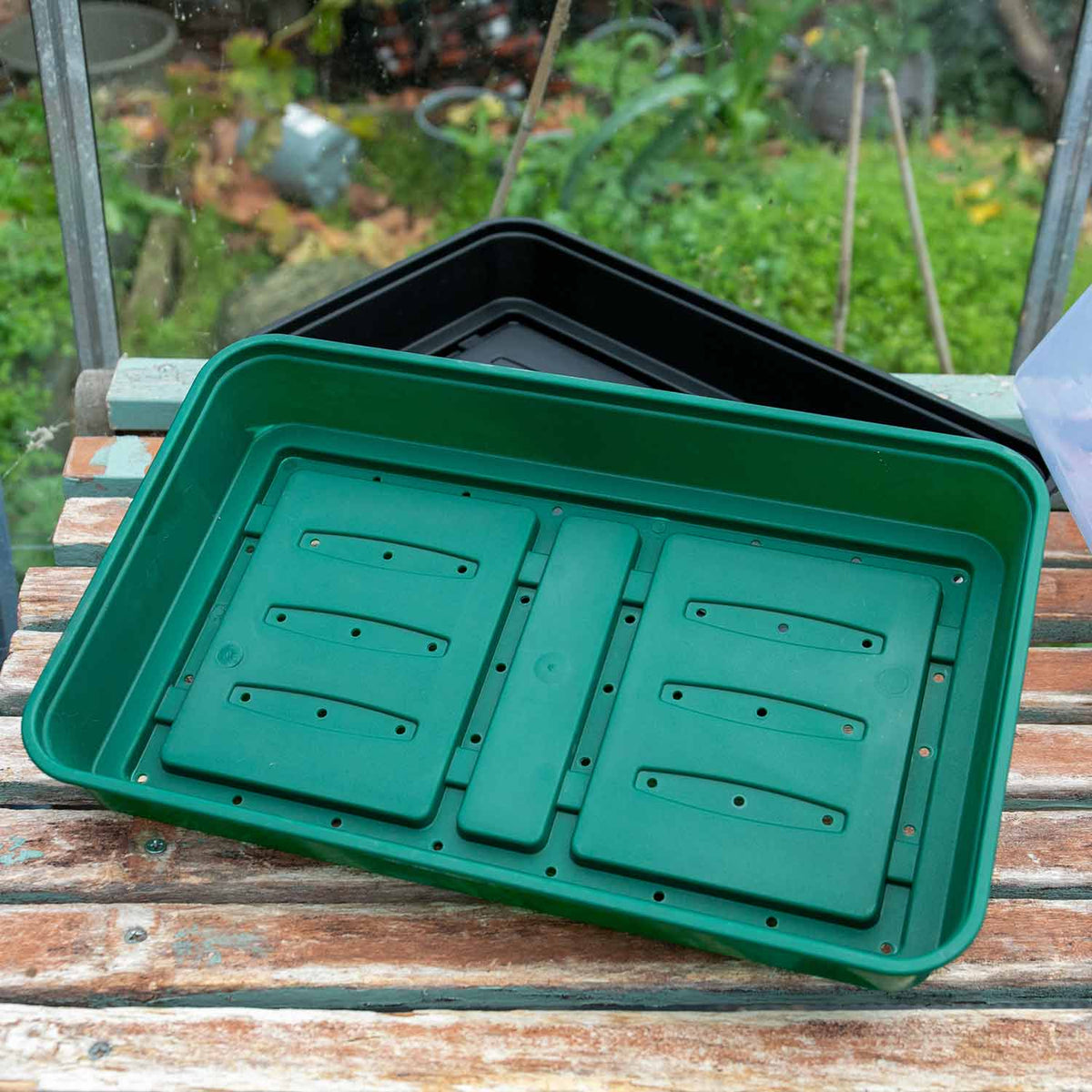 Seed Propagator Kit Medium | Buy Propagators Online | Plant Growing ...