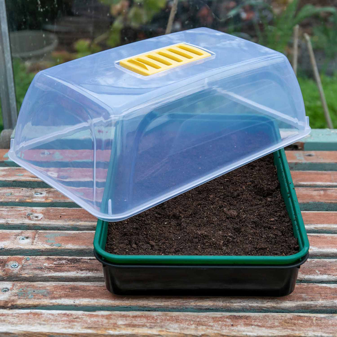 Seed Propagator Kit Medium | Buy Propagators Online | Plant Growing ...