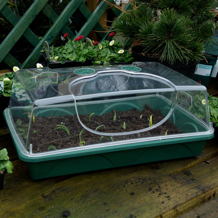 Large Unheated Propagator with Deep Lid | Buy Propagator Online ...