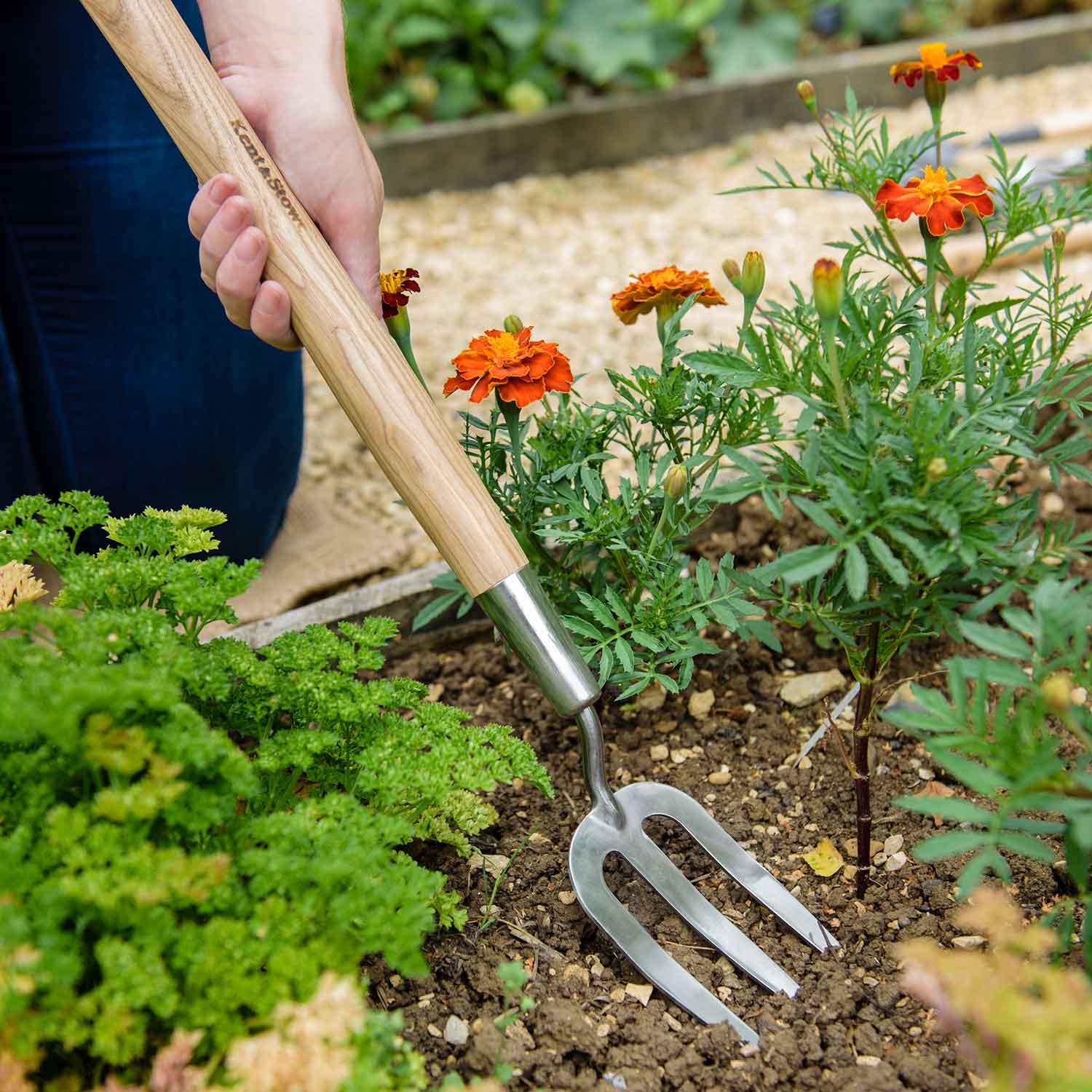 Kent & Stowe Stainless Steel Border Hand Fork | Marshalls Garden