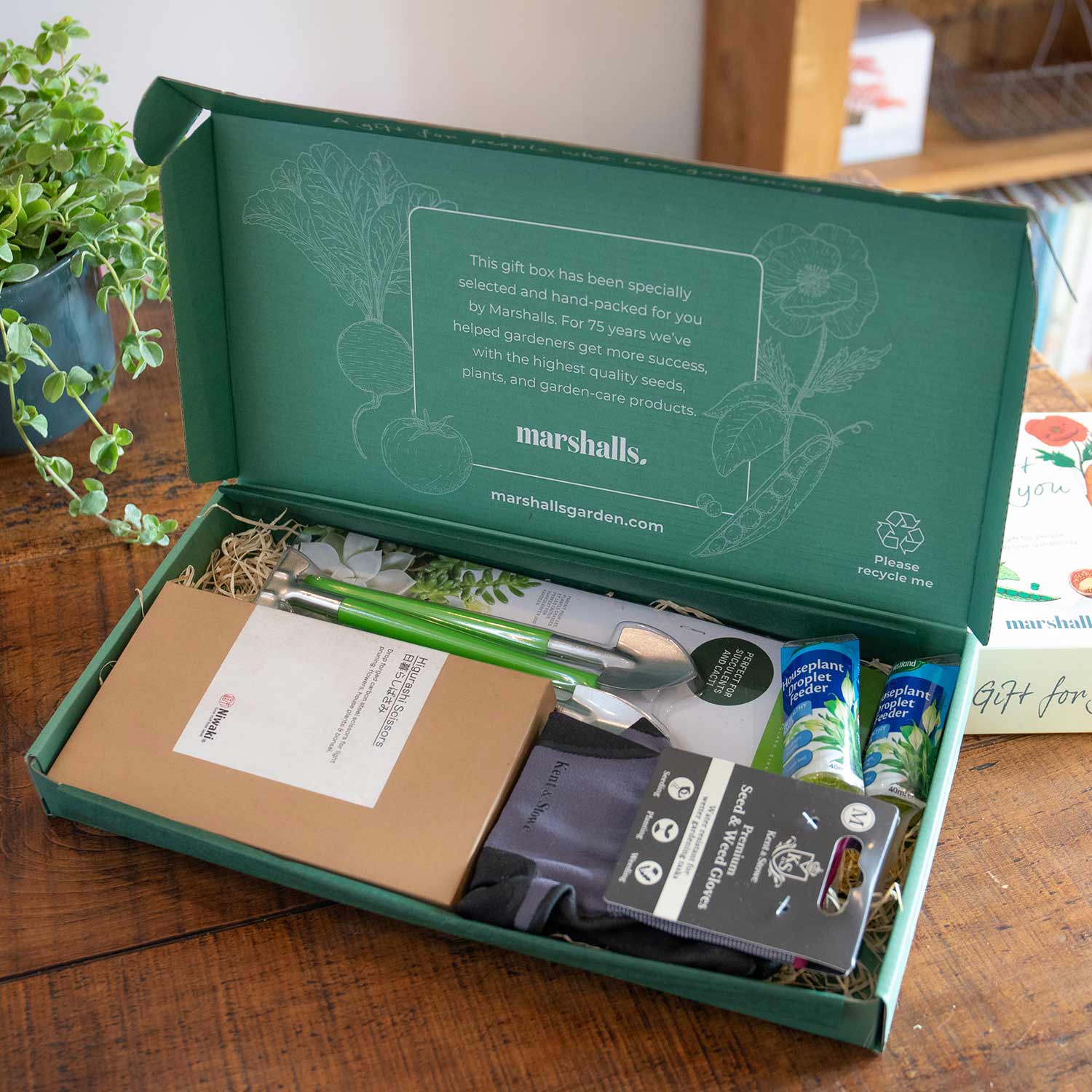 The Houseplant Lovers Gift Box | Buy Gardening Gift Boxes Online ...
