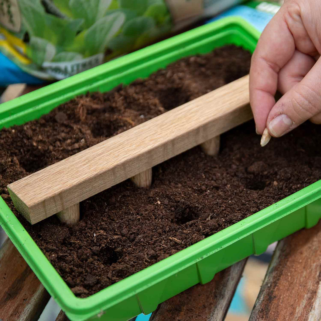 Seed Tray Dibber | Buy Seed Tray Dibber Online | Seed Tray Dibber for ...