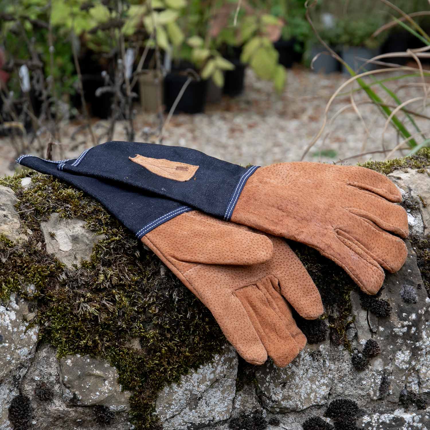 Denim Gloves | Marshalls Garden