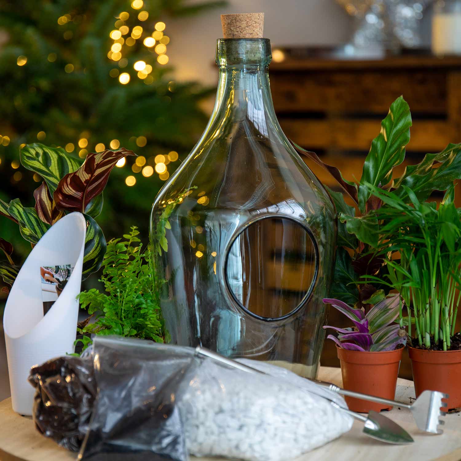 3L Open Terrarium DIY Set | Marshalls Garden