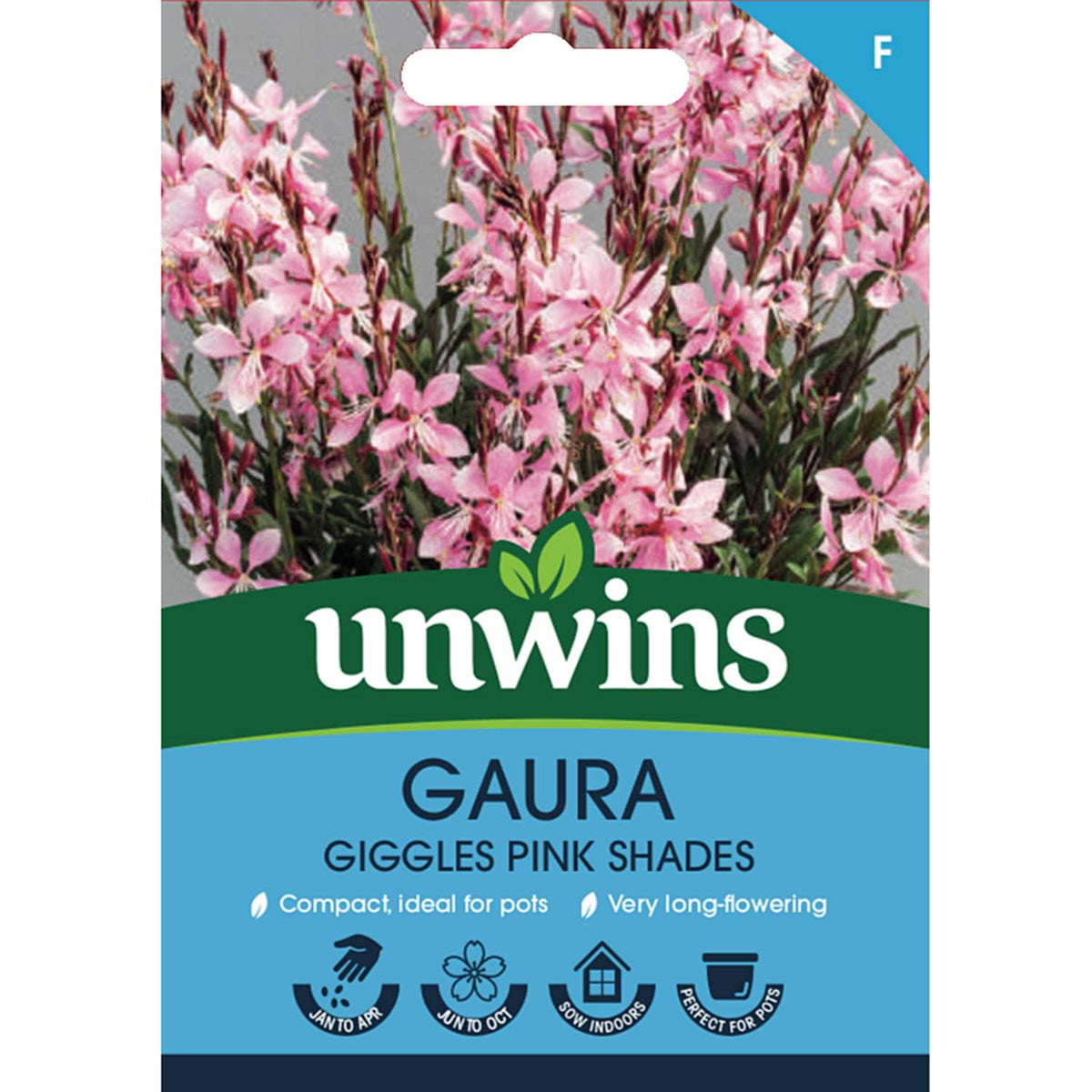 Gaura Seeds 'Giggles Pink Shades' | Buy Gaura Seeds Online | Gaura ...