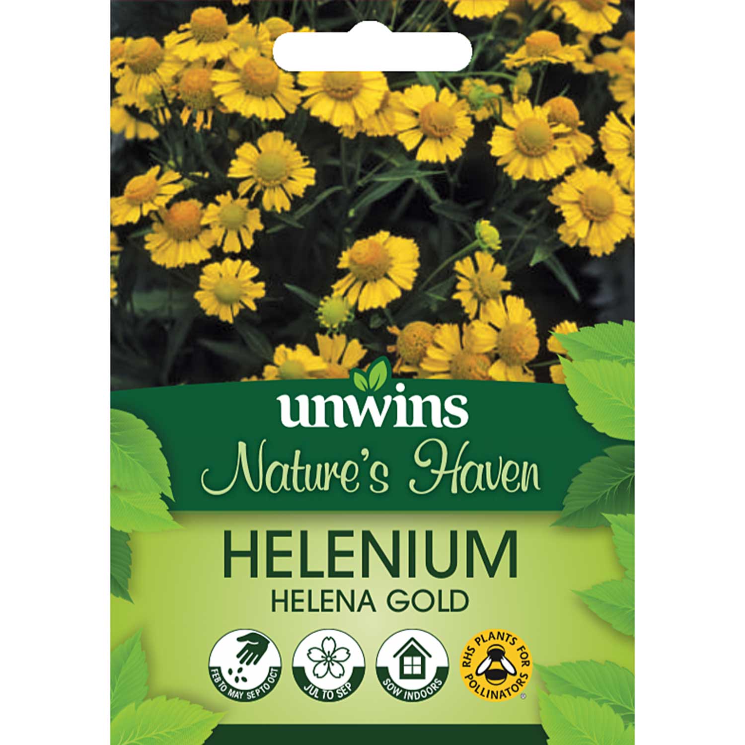 Helenium Seeds 'Helena Gold' | Buy Helenium Seeds Online | Helenium ...