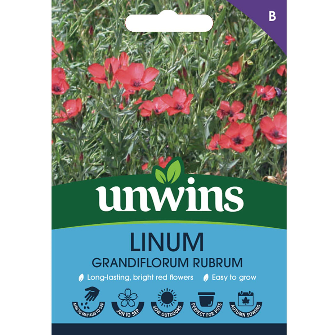 Linum 'Grandiflorum' Rubrum - Seeds – Marshalls Garden