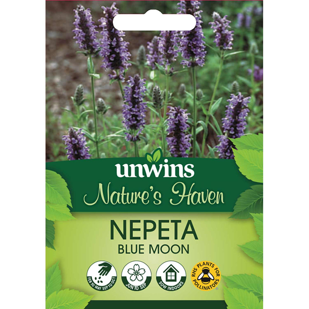 Nepeta 'Blue Moon' - Seeds – Marshalls Garden