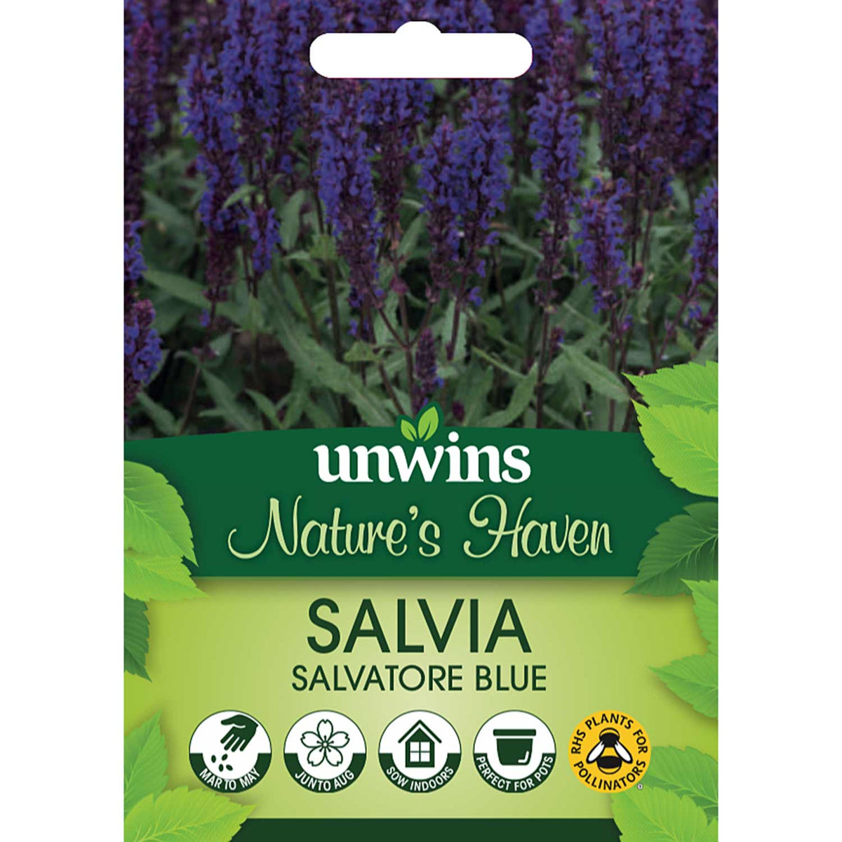 Salvia Seeds 'Salvatore Blue' | Buy Salvia Seeds Online | Salvia Seeds ...