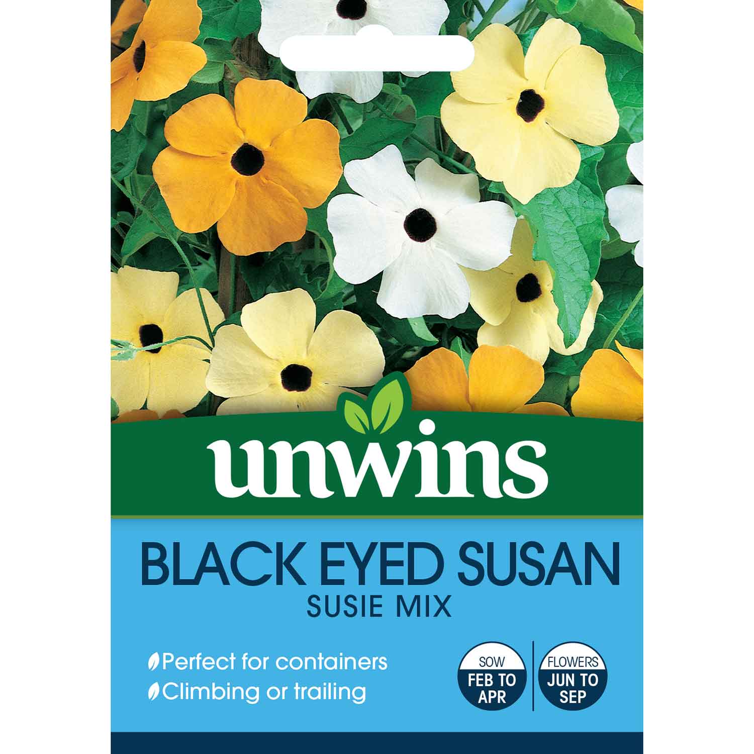 Buy Black Eyed Susan 'Susie Mix' online | Marshalls – Marshalls Garden