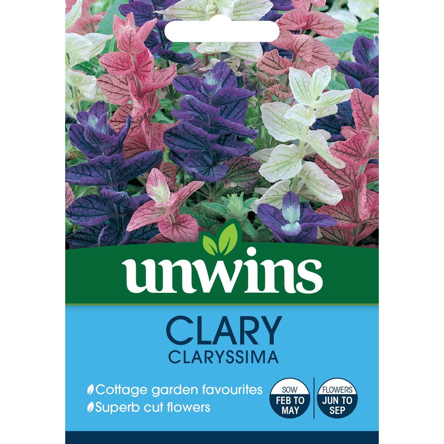 Clary Seeds 'Claryssima' | Marshalls Garden