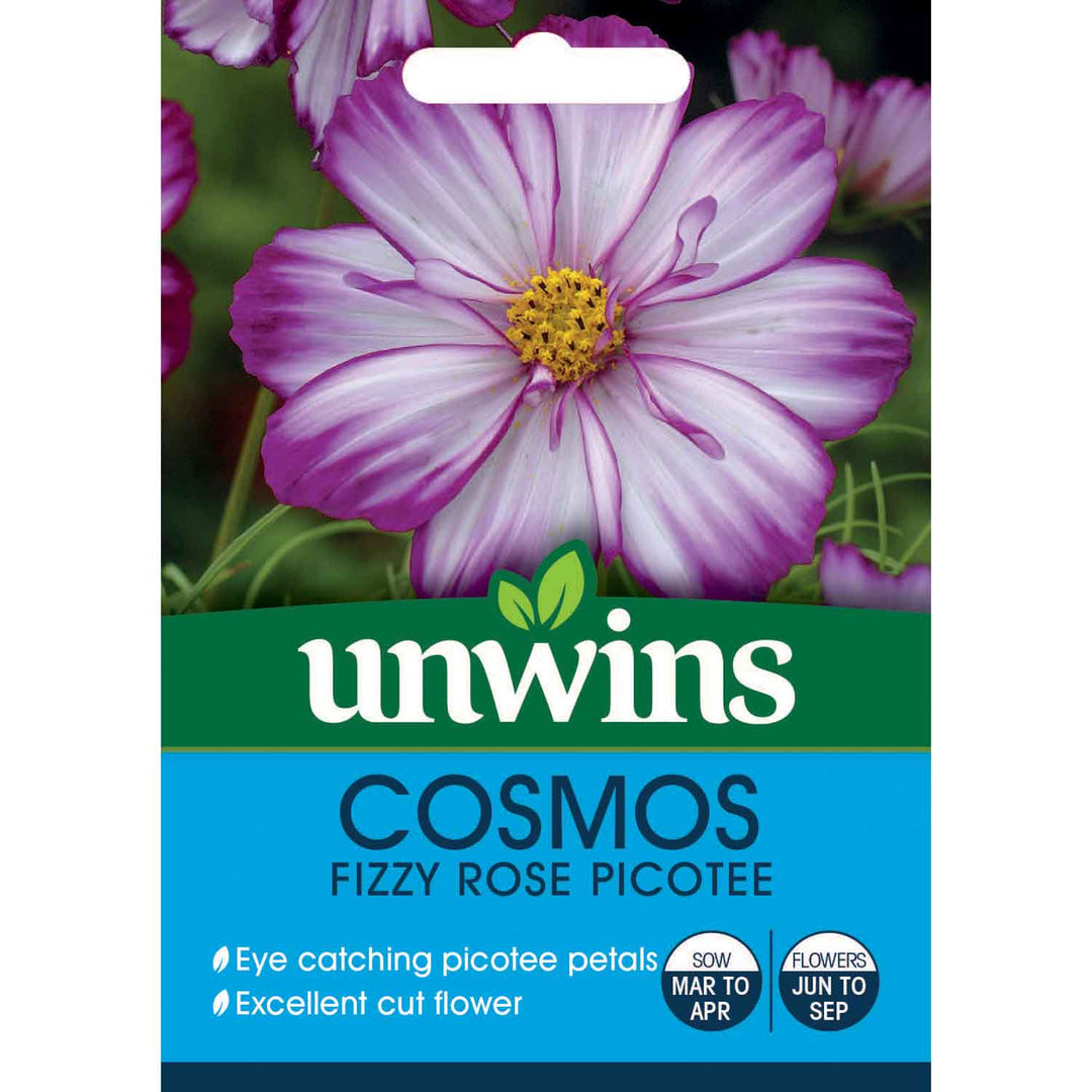 Cosmos Seeds 'Fizzy Rose Picotee' | Buy Cosmos Seeds Online | Cosmos ...