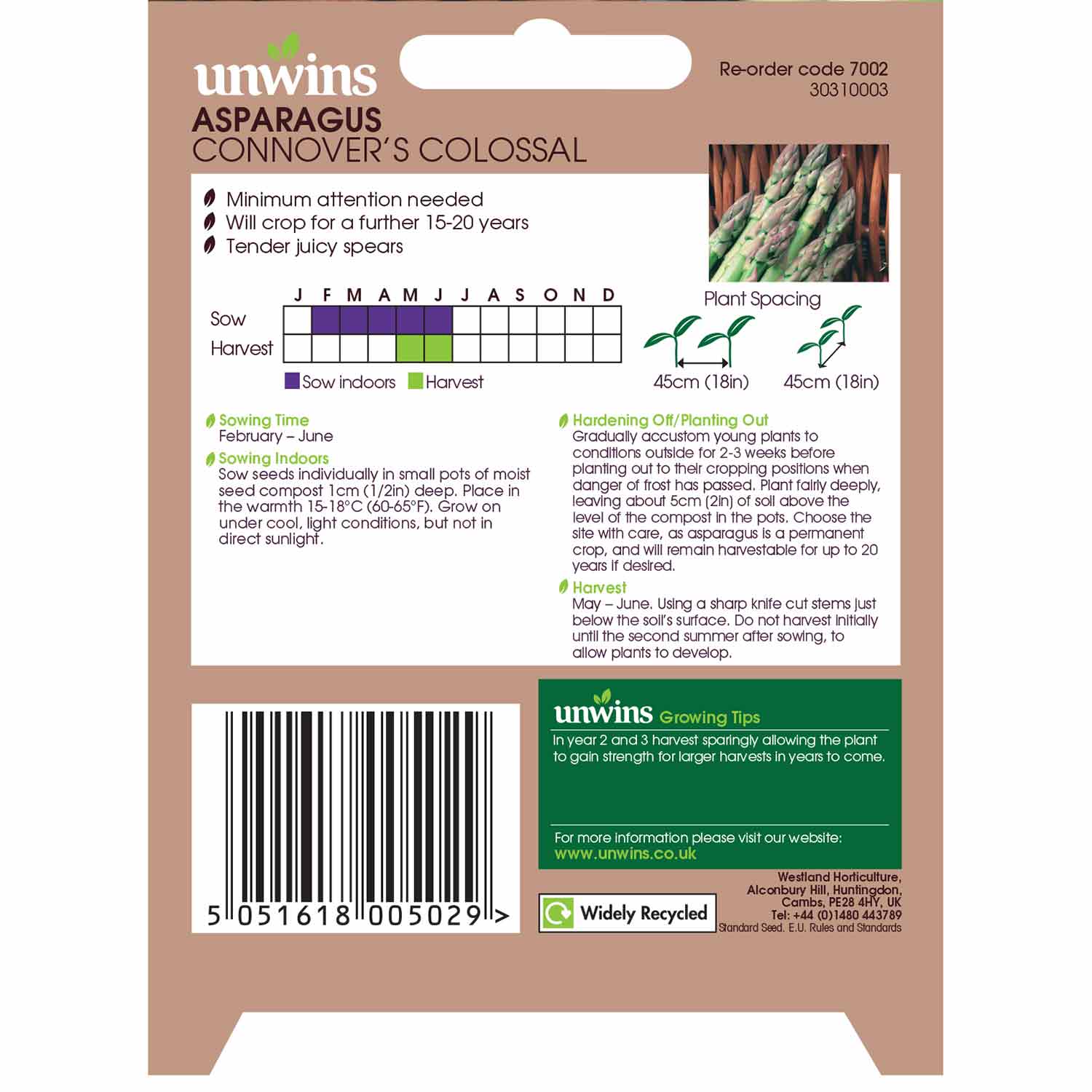 Buy Asparagus Connover's Colossal - Seeds online | Marshalls ...
