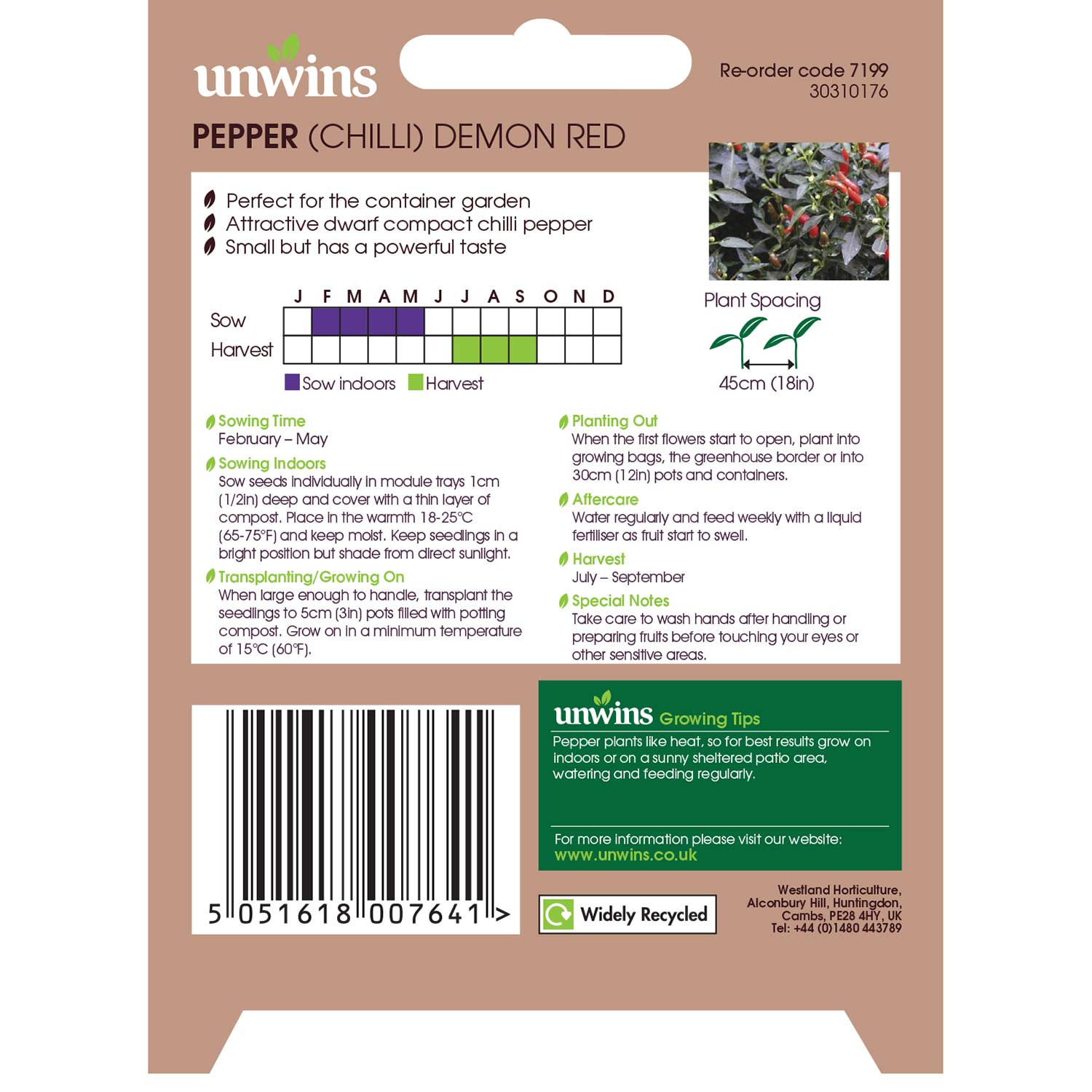 Buy Chilli Demon Red - Seeds online | Marshalls – Marshalls Garden