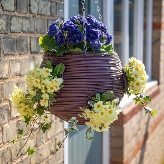 Primrose Vulgaris 'Everlast' - 12 Garden Ready Plugs | Buy Primrose ...